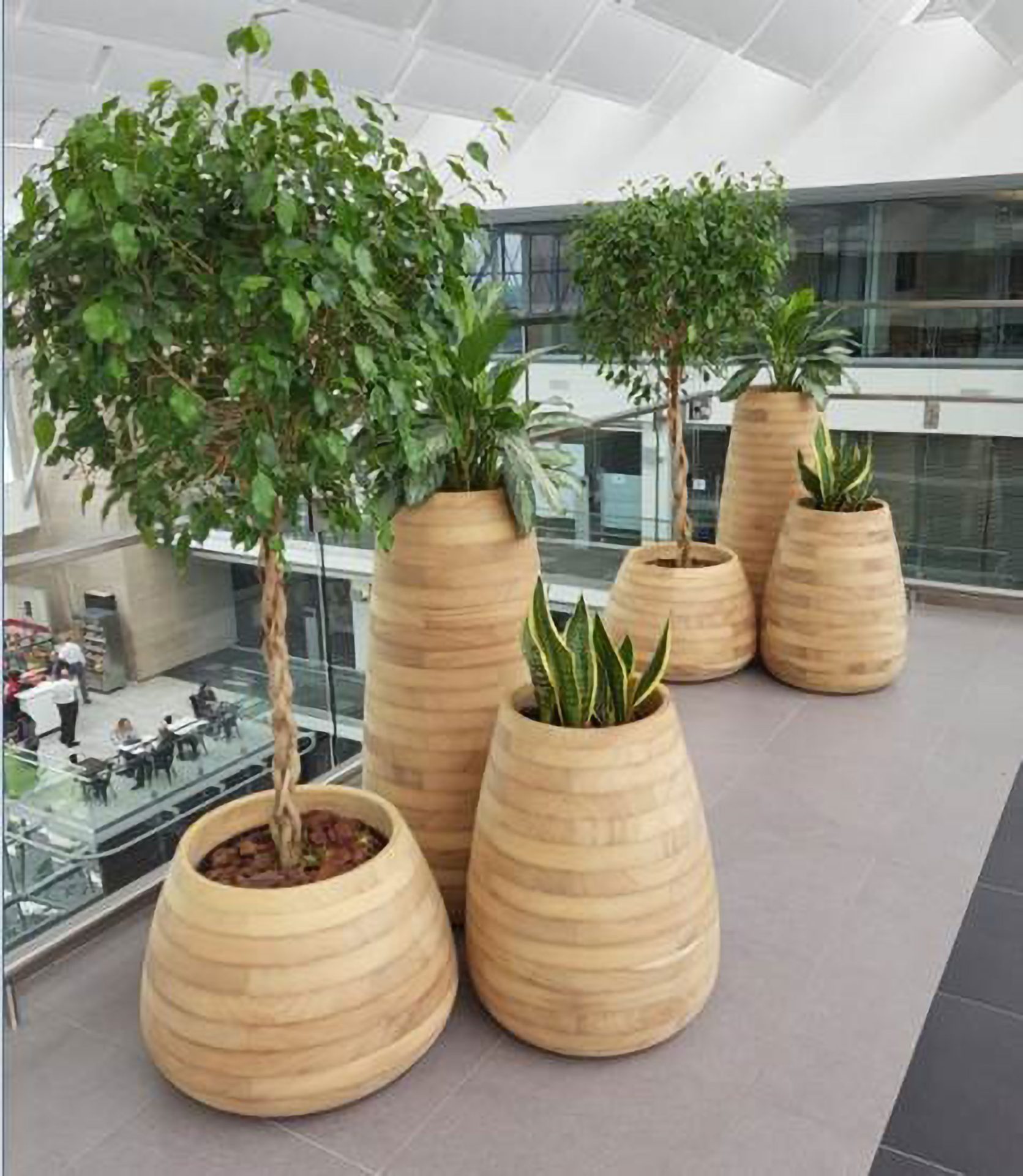 Standard Bank HQ – Johannesburg - Indigenus